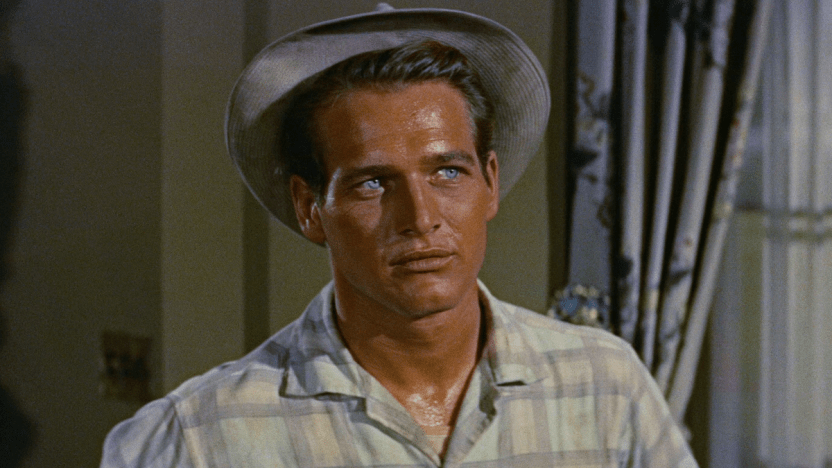 I 10 migliori film con Paul Newman | Birdmen Magazine